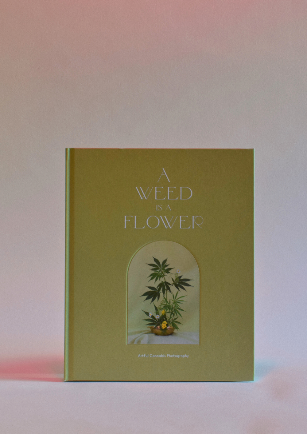 A Weed is a Flower Book – VISIONS