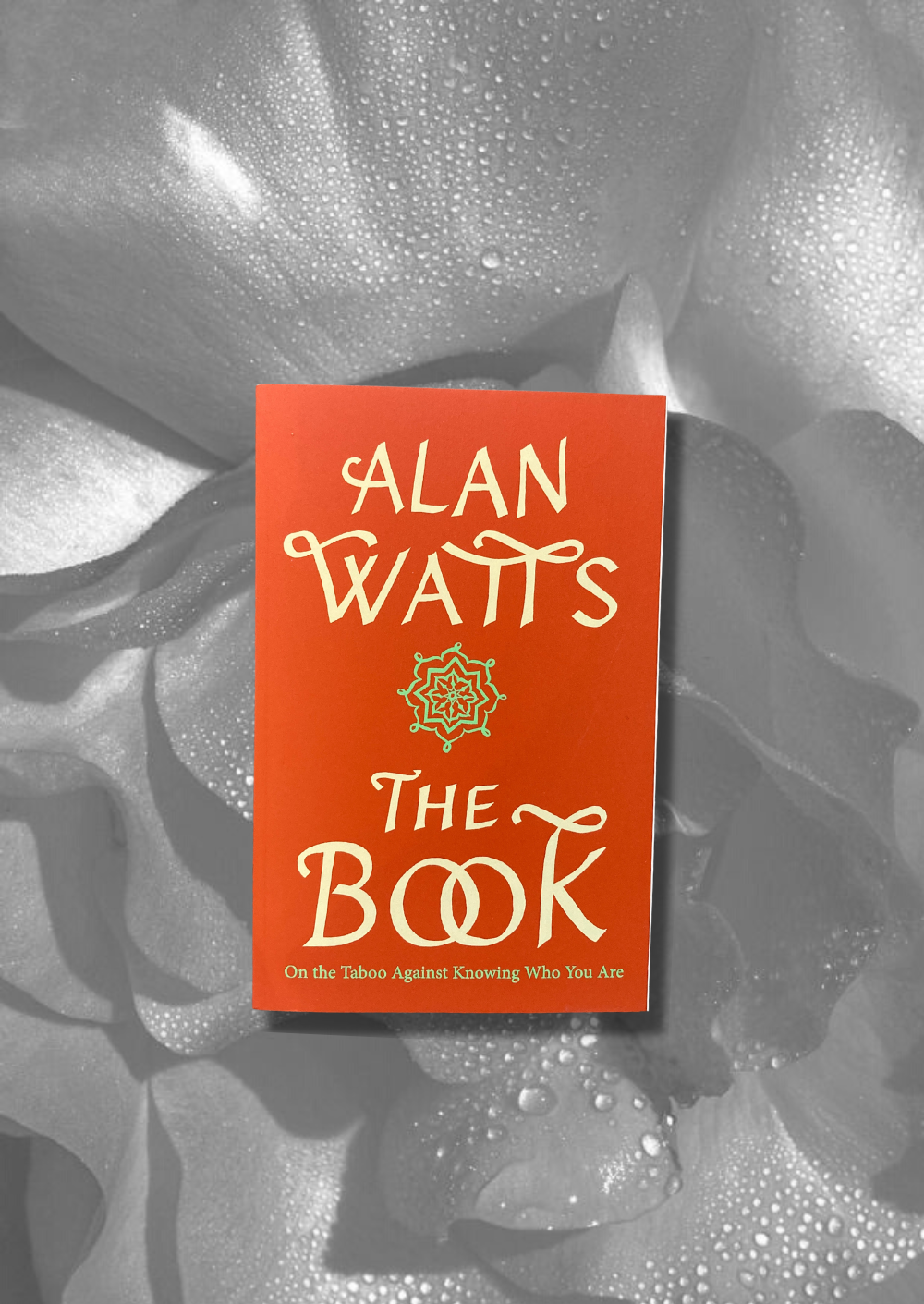 Alan Watts - The Book: On the Taboo of Knowing Who You Are – VISIONS